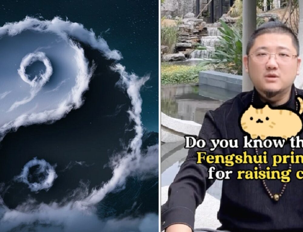 Remembering the 'CATTA$TIC' World of DJ Ravioli the Cat Rapper