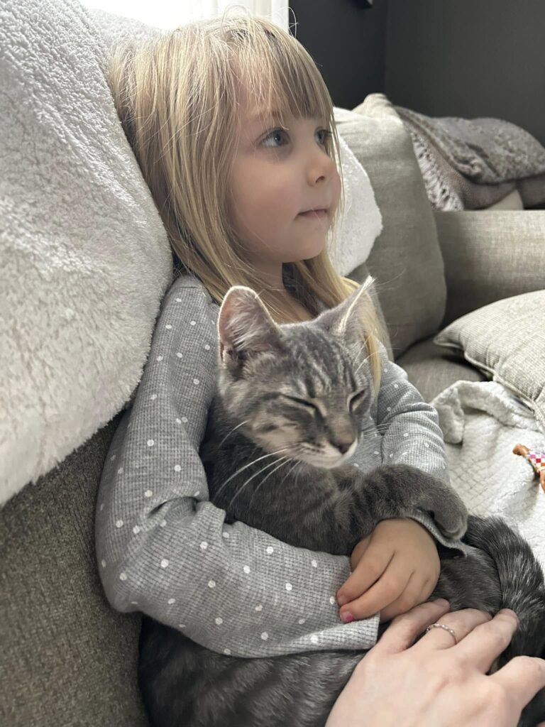 There's No Denying Obi-Wan the Kitten Choose the Right Family to Adopt ...