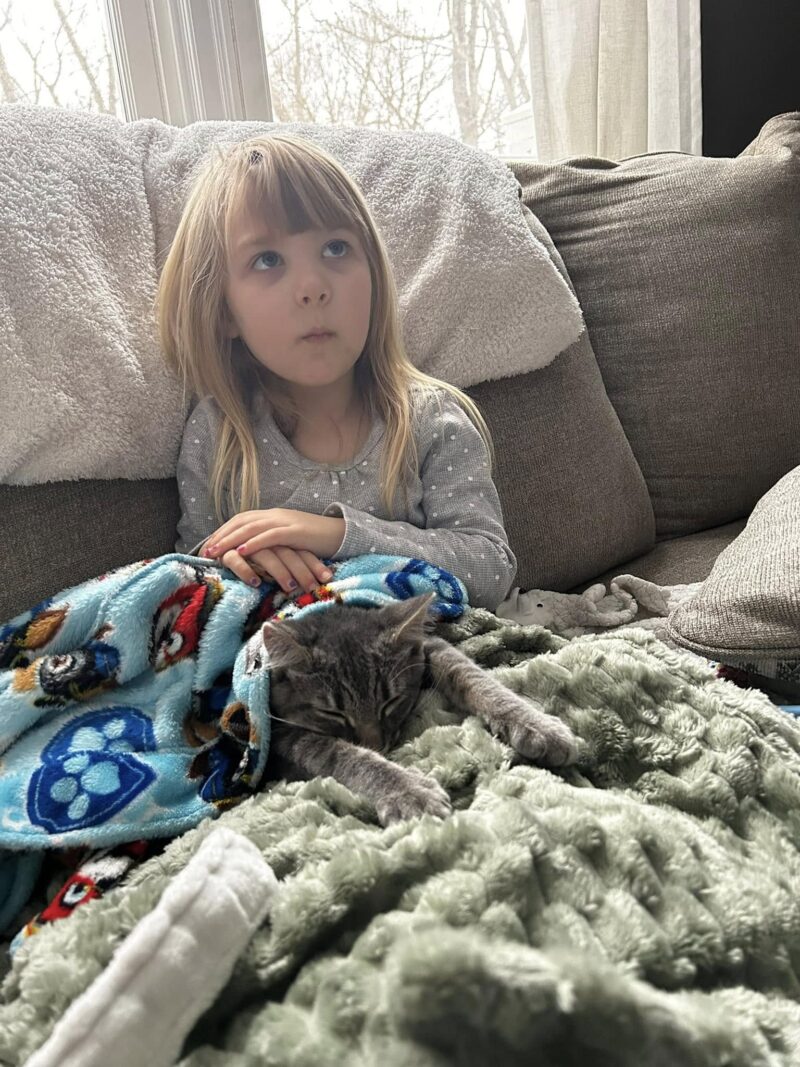 There's No Denying Obi-Wan the Kitten Choose the Right Family to Adopt ...