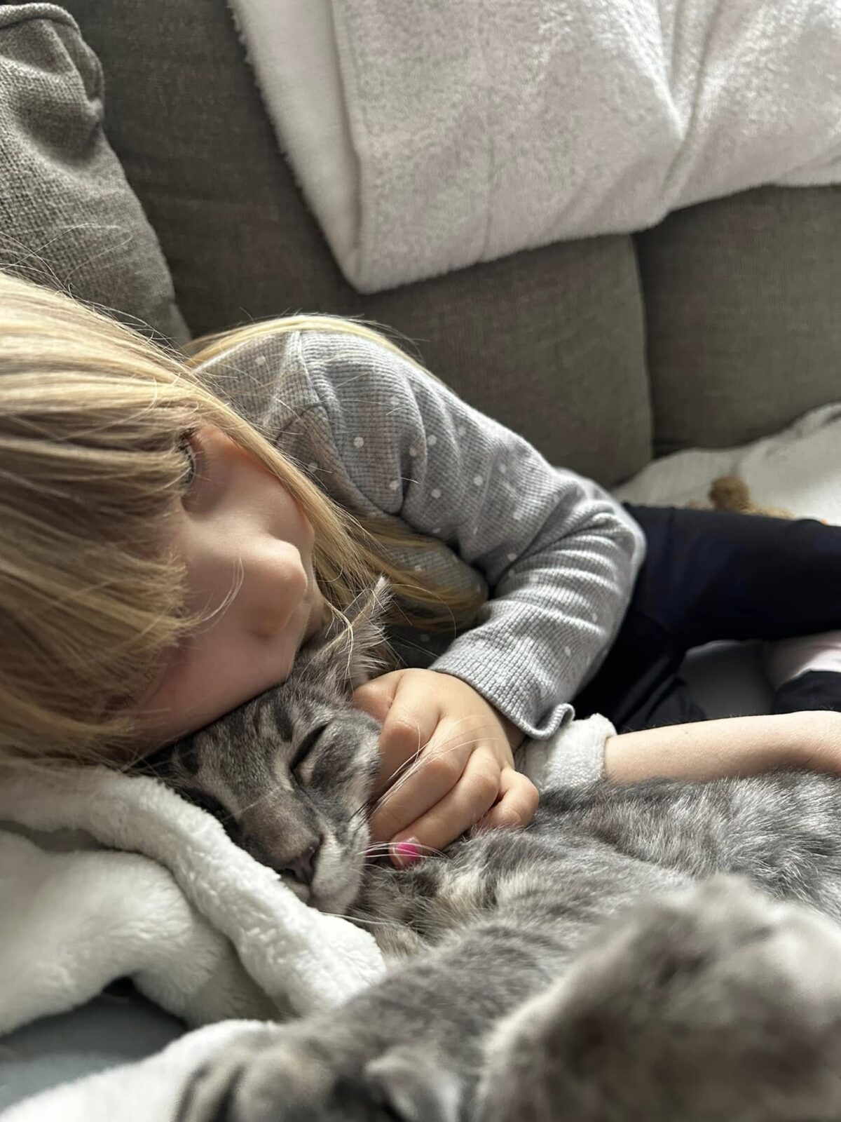 There's No Denying Obi-Wan the Kitten Choose the Right Family to Adopt ...